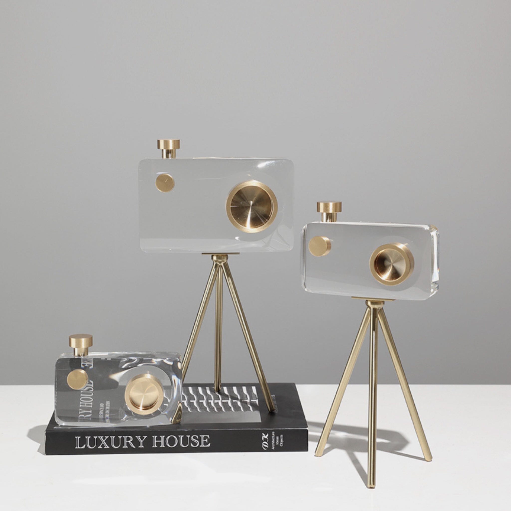 Crystal Camera | Stunning Decorative Piece | Victoria Queen